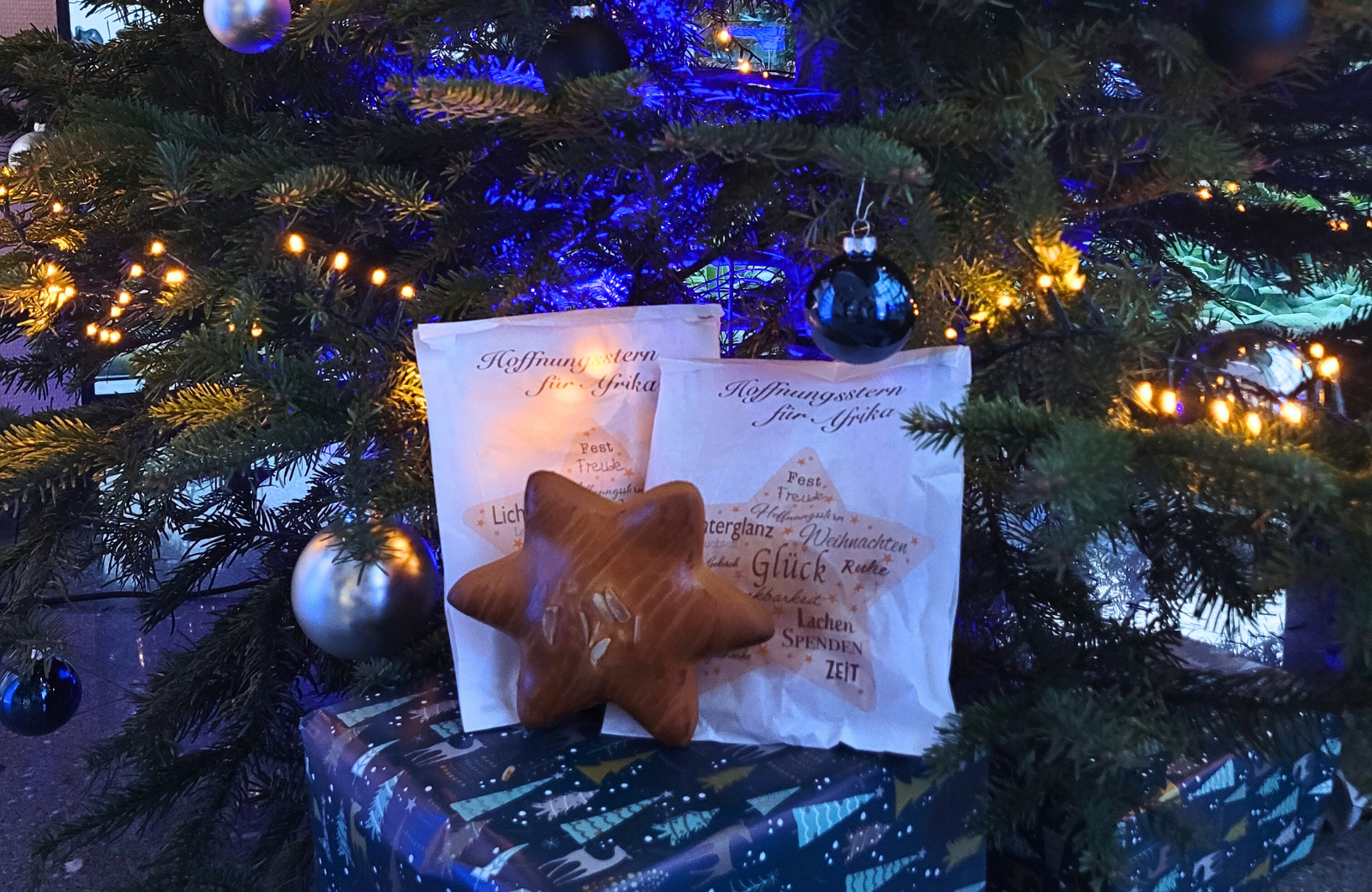 Command Tooling Systems LLC announces change of name to EWS USA | EWS